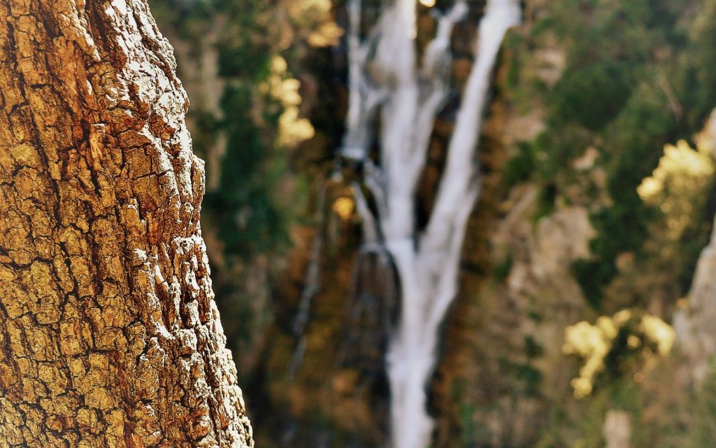 3. Cascate del Rio Verde - Molise Tour & Omega Travel