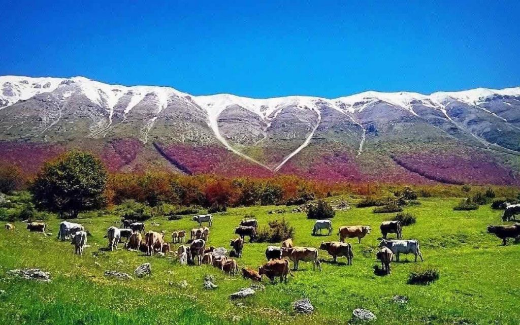 3. Parco Nazionale della Majella - Molise Tour & Omega Travel