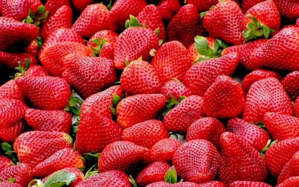 Sagra delle Fragole a Nemi 2 - Molise Tour & Omega Travel